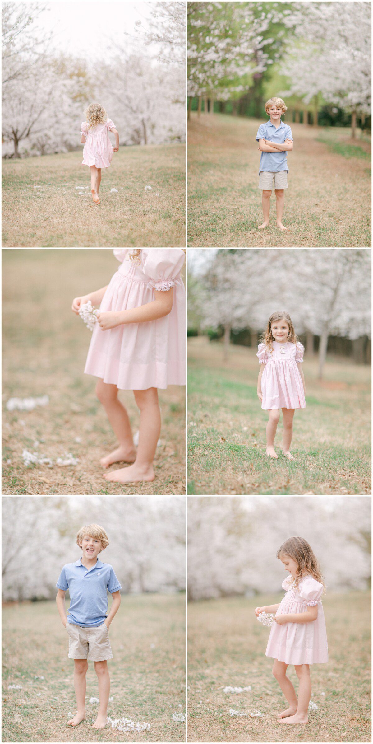 Cherry Blossom Portrait Sessions Now Open